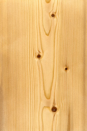 Il legno, conosciamolo meglio! - Faidanoi