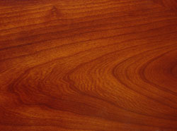 Il legno, conosciamolo meglio! - Faidanoi